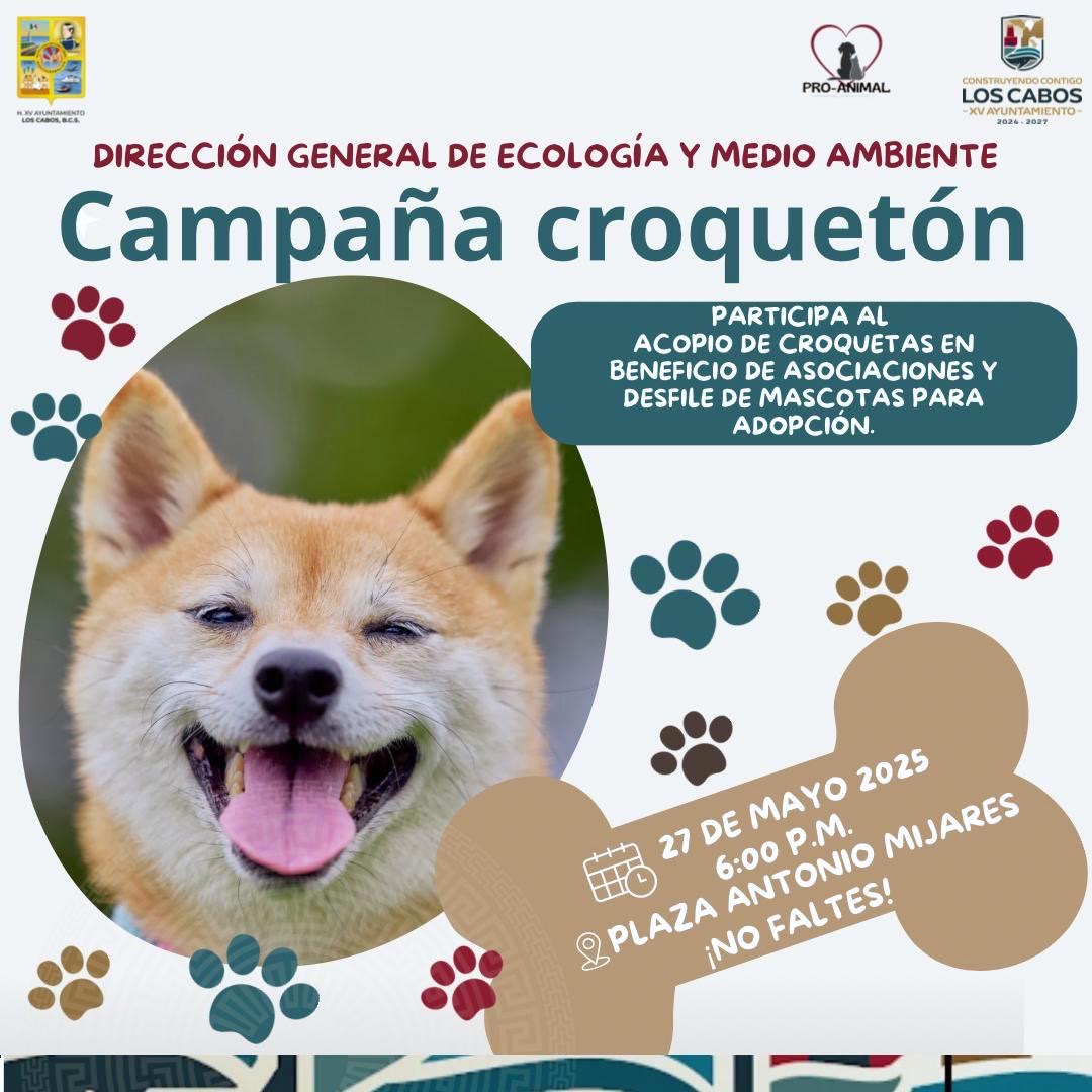 Invita Ayuntamiento de Los Cabos al Croquetón 2025 en apoyo a mascotas ...